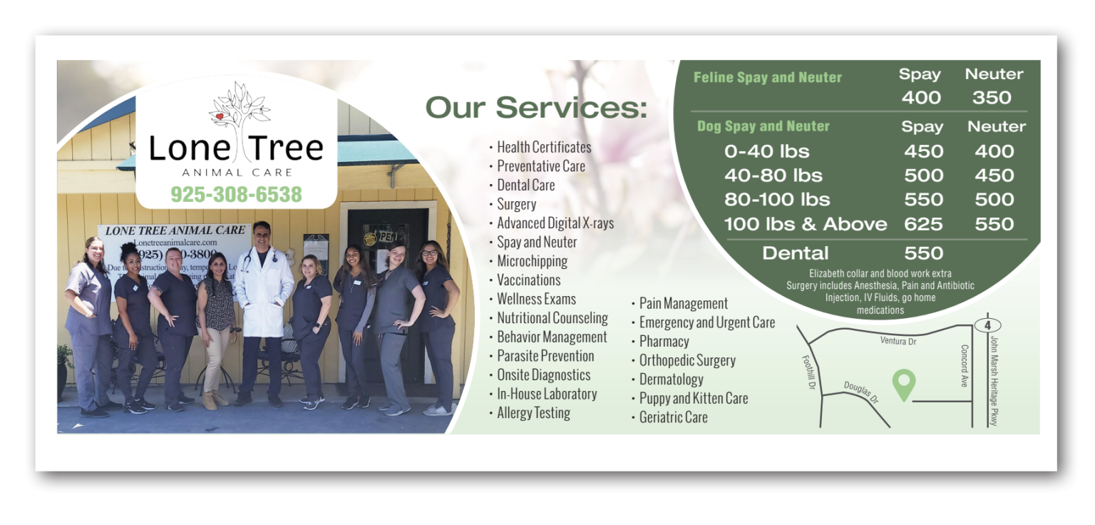 Specials in Brentwood, CA - Lone Tree Animal Care