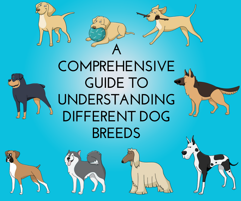 A Comprehensive Guide to Understanding Different Dog Breeds - Lone Tree ...